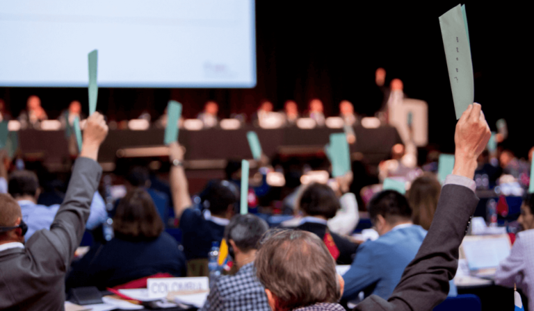 About World Federation of Hemophilia